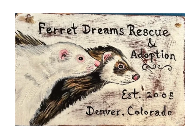 Our Adoption Process