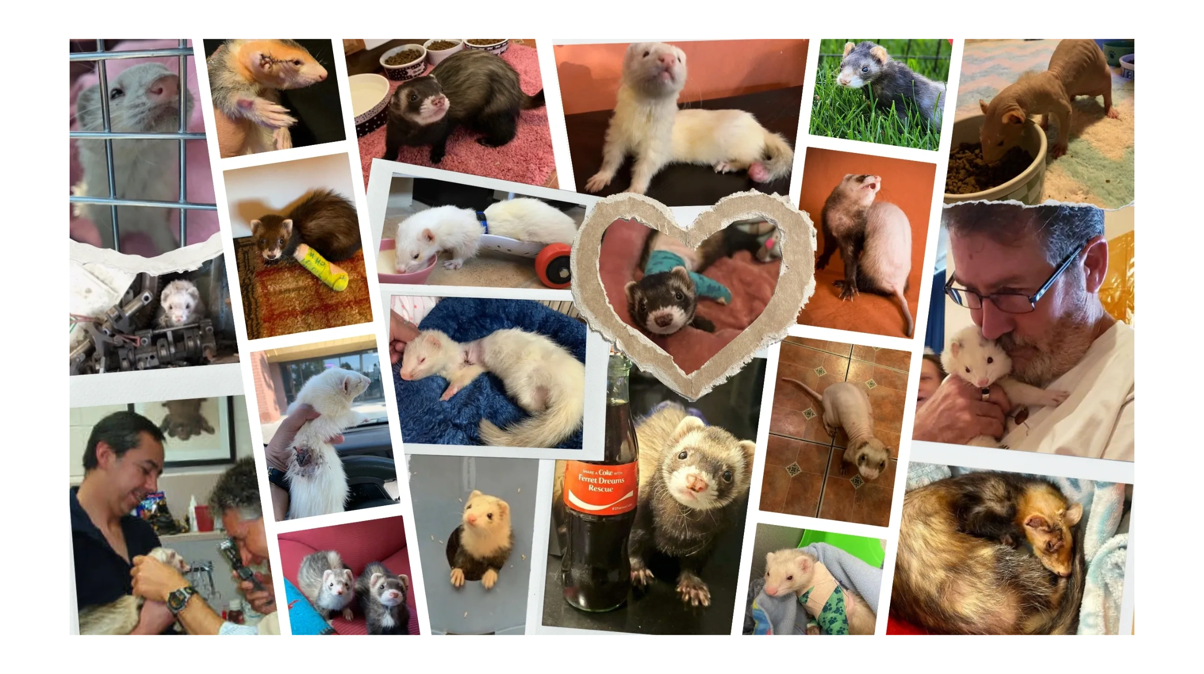 Our Adoption Process