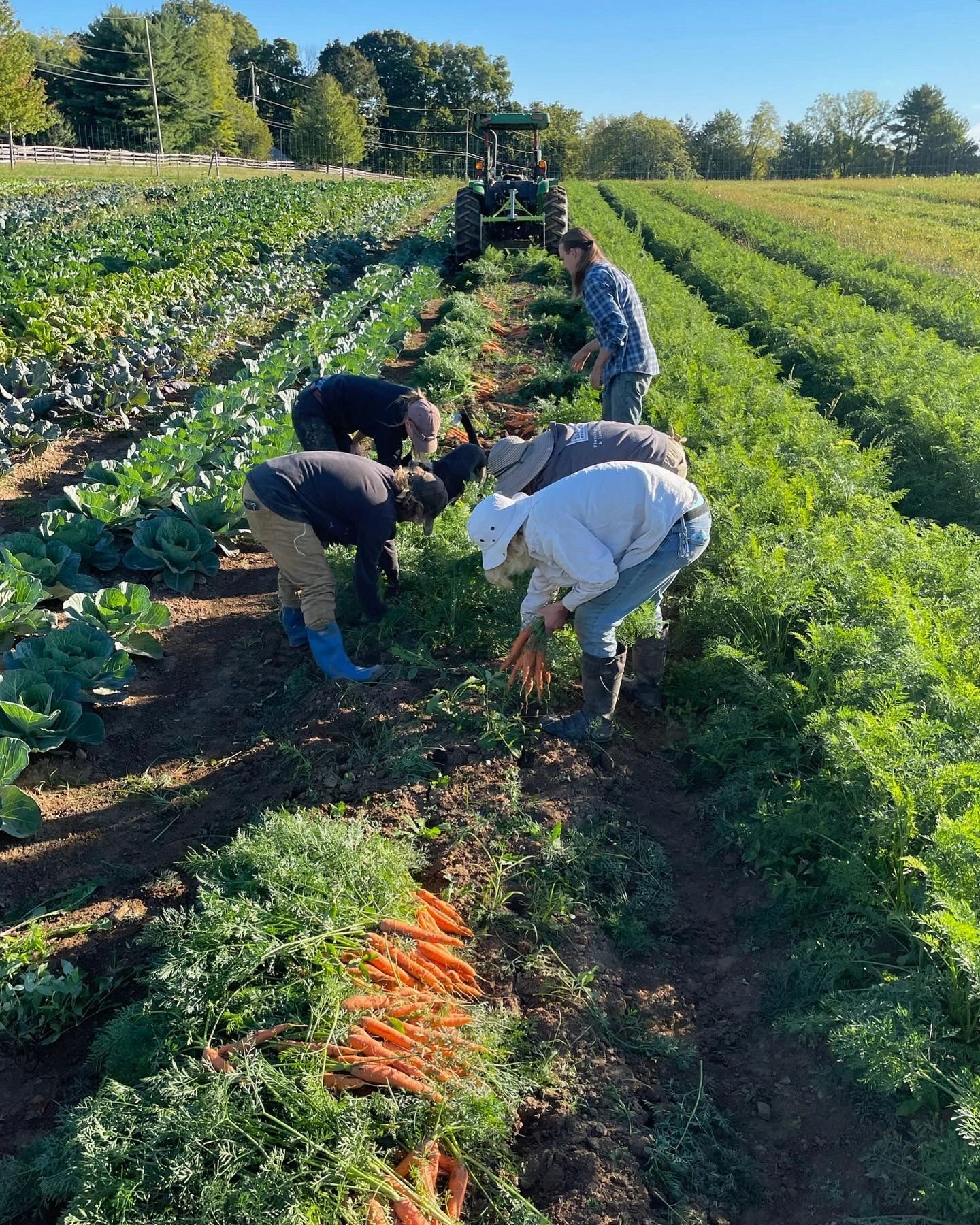 About the Farm