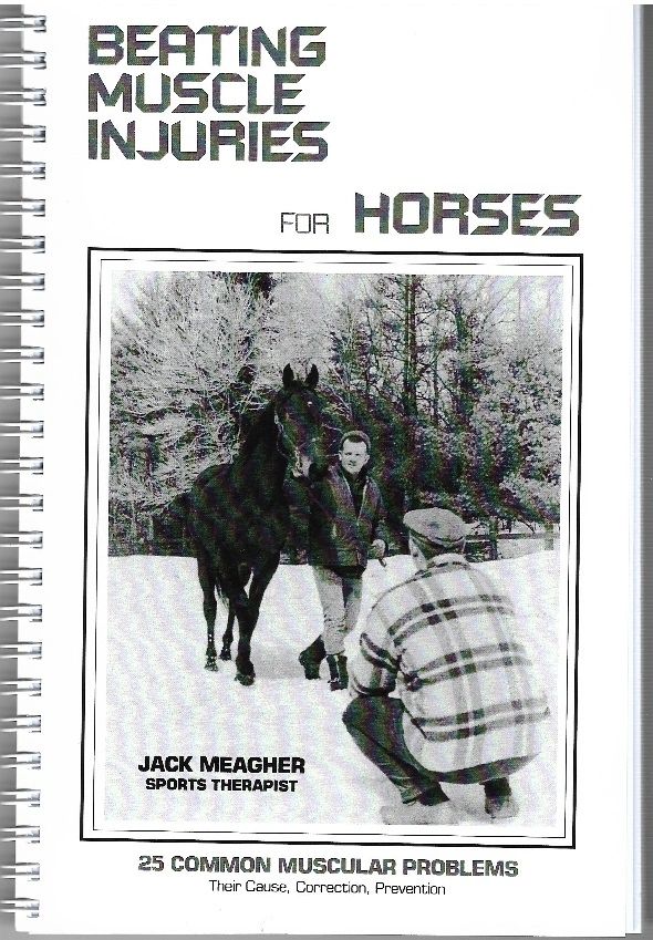 Beating Muscle Injuries For Horses