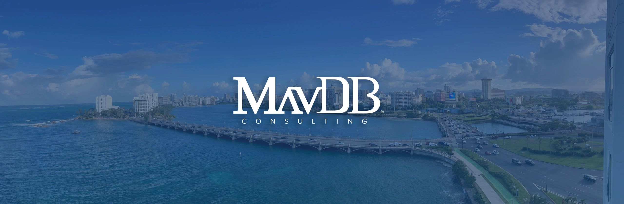 MavDB Consulting
