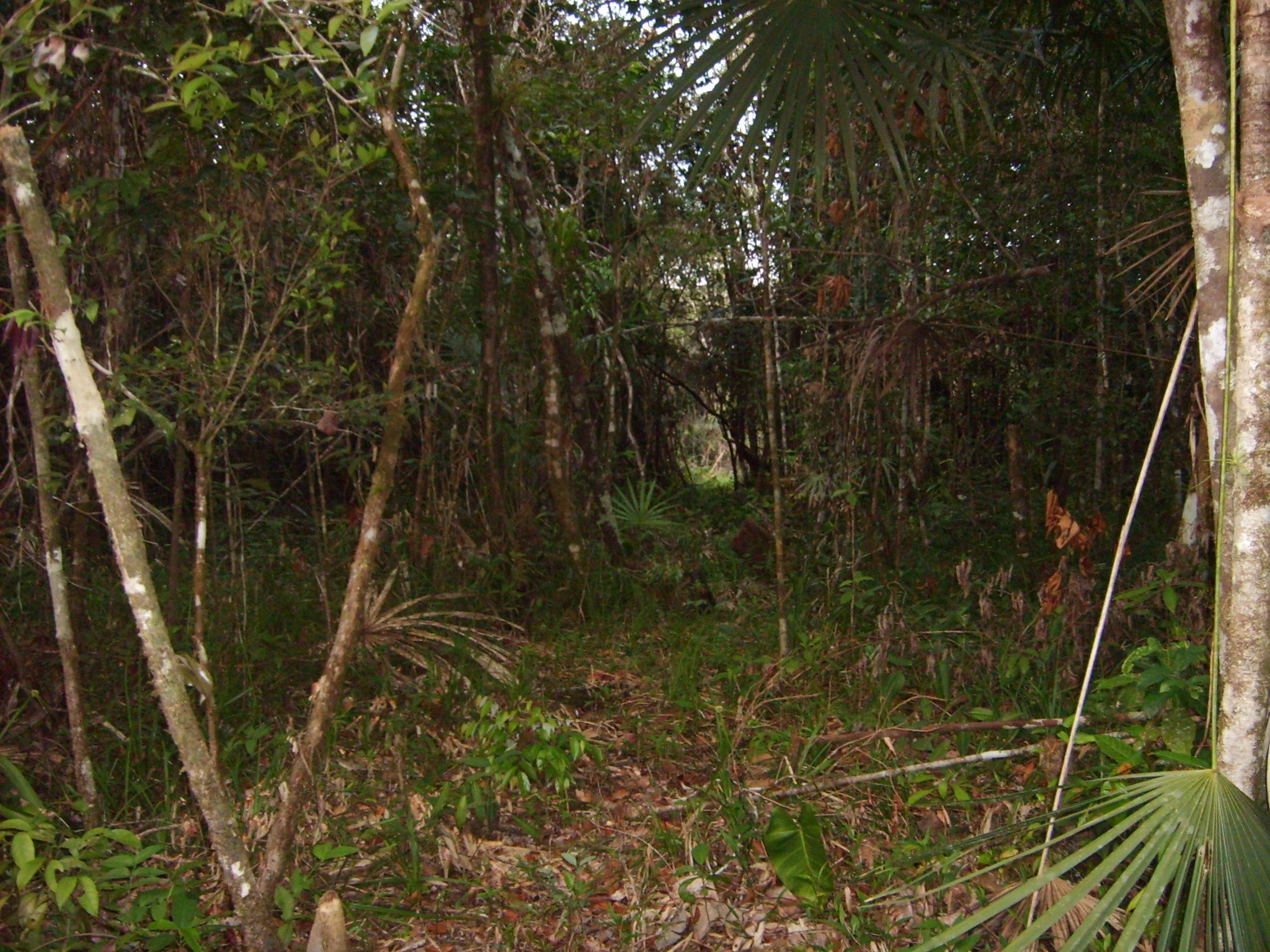 Belize Hiking - Hiking Tours, Belize Tours, Hike, Hiking Trails