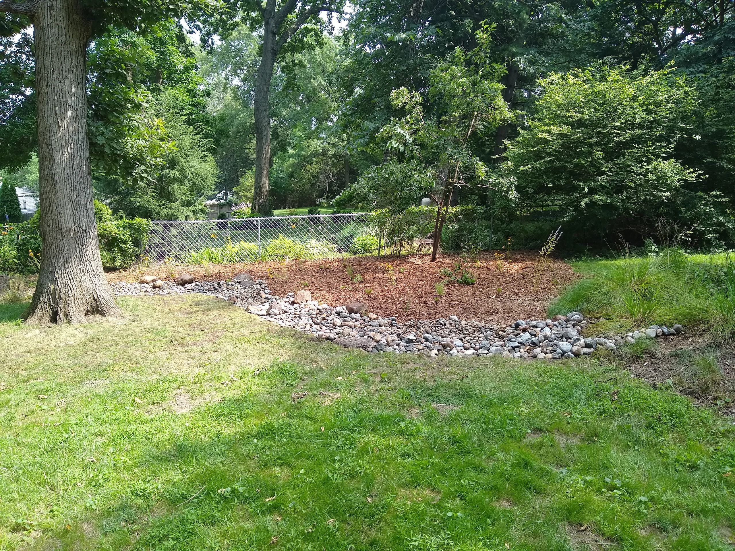 Drainage Transformation: Wooded Hillside