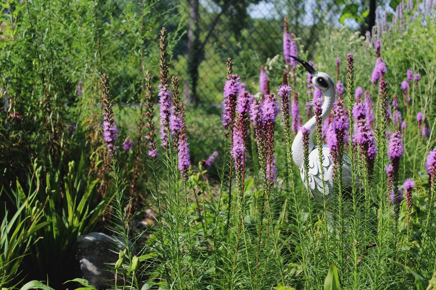 Rainscaping ...with Benefits