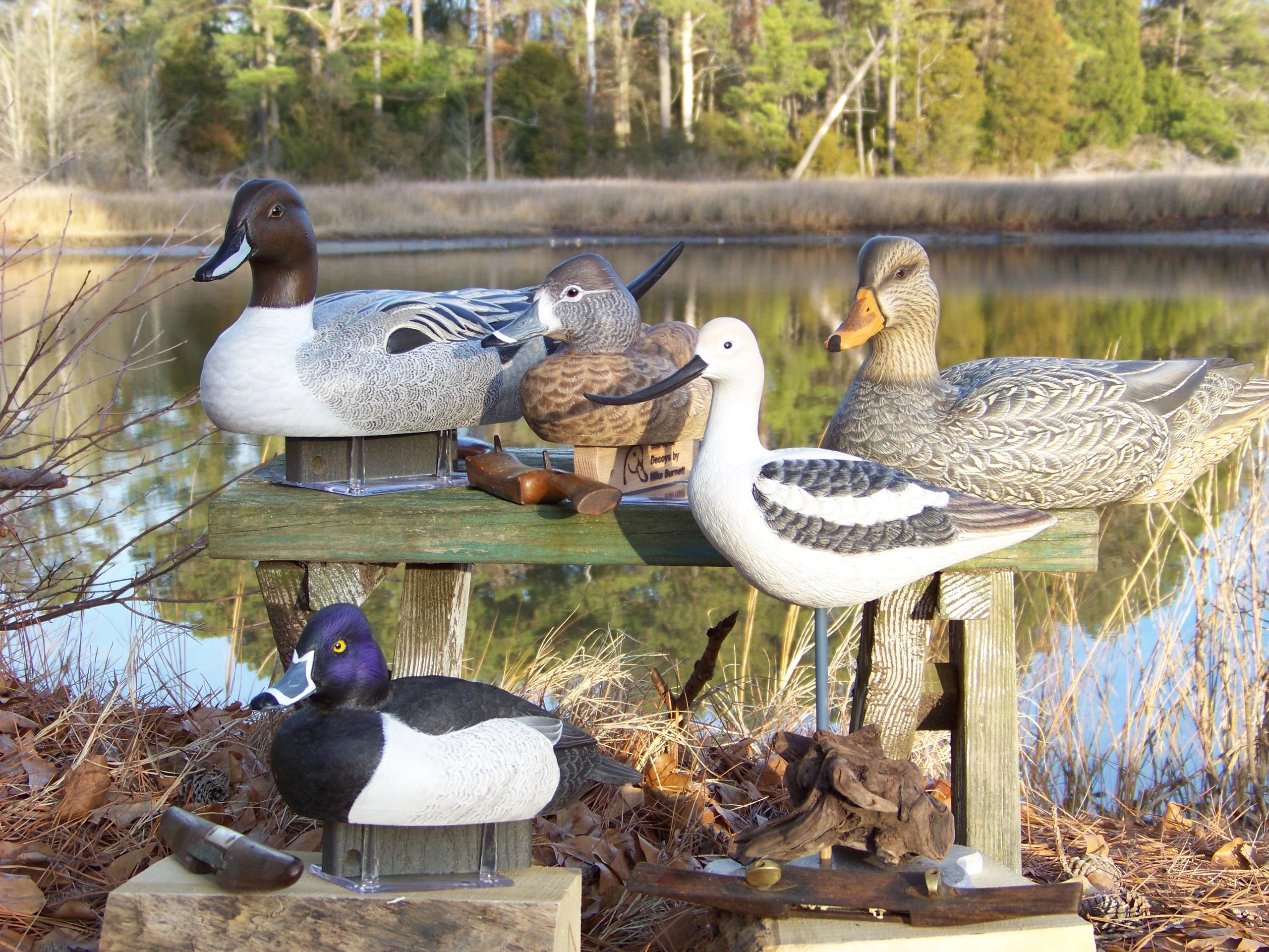 Salty Water Decoys