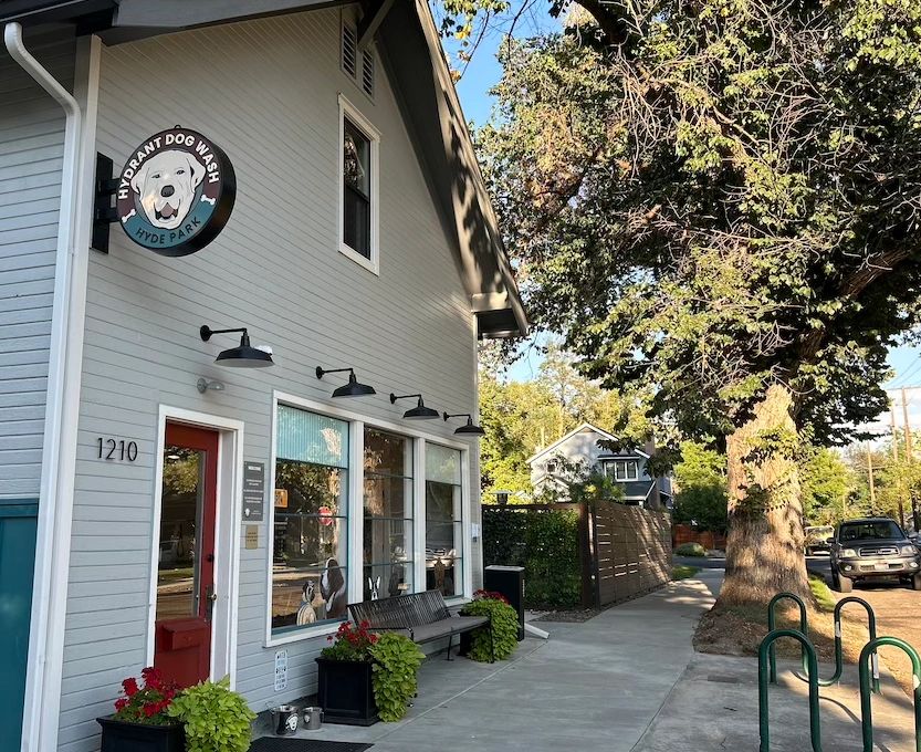 Professional Grooming