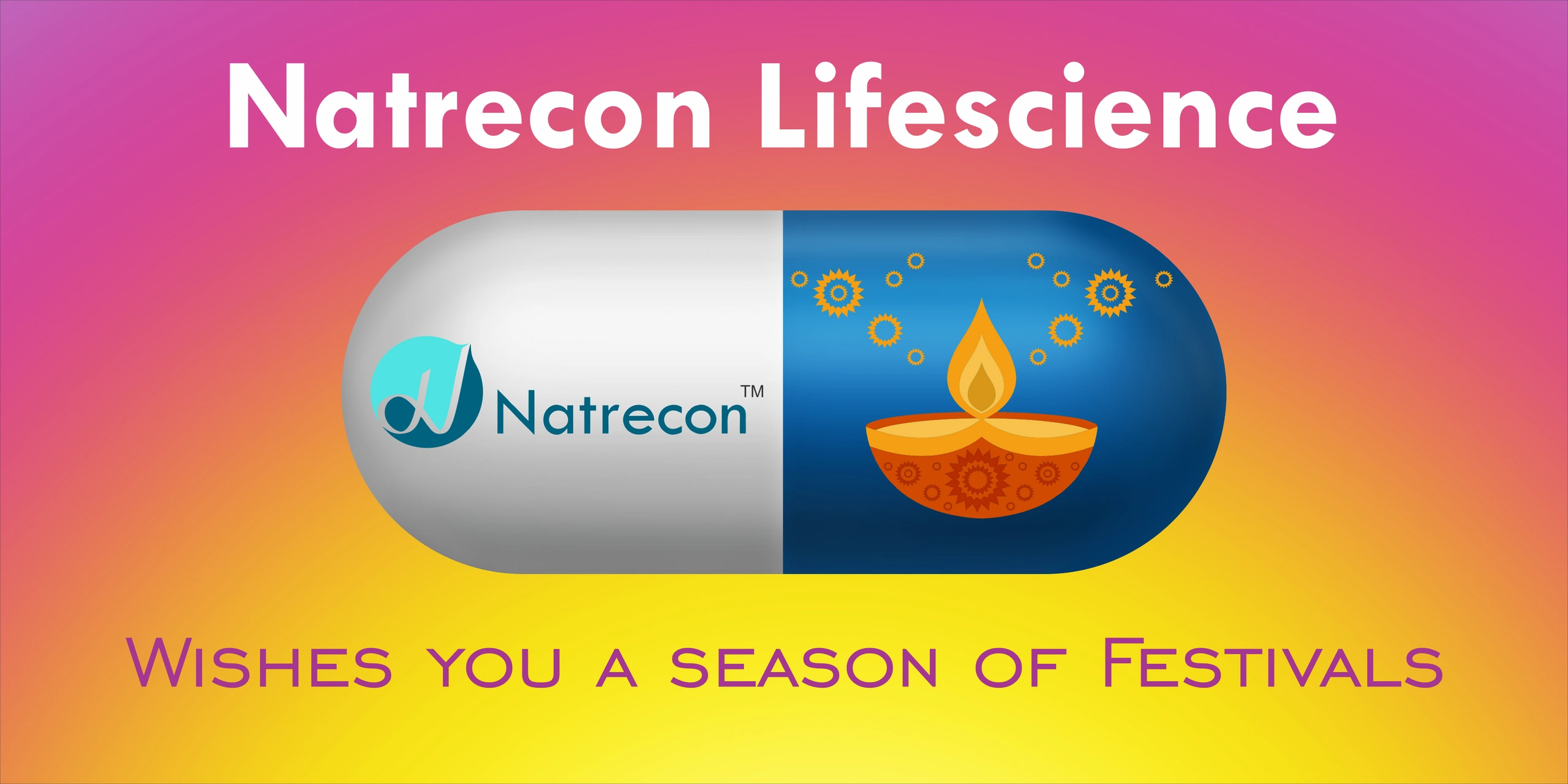 Natrecon - A Pharmaceutical Company