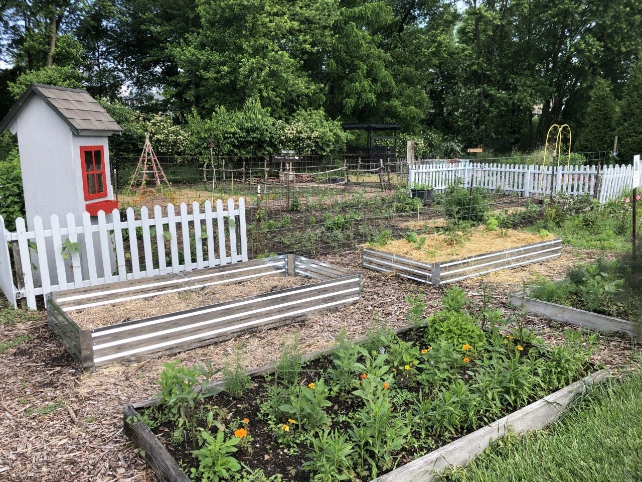 Gardening Education - Licking County Master Gardener Volunteers