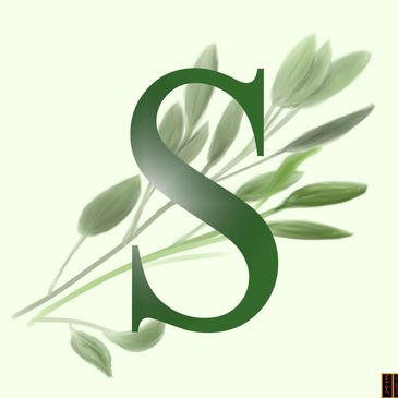 Sage Insurance Solutions - Medicare, Health Insurance