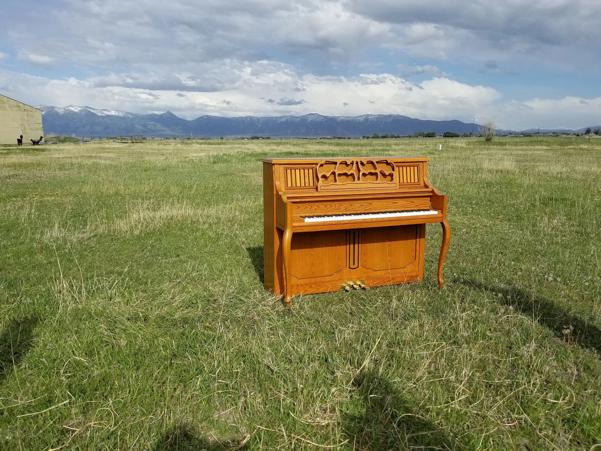 Secure Piano Storage Solutions