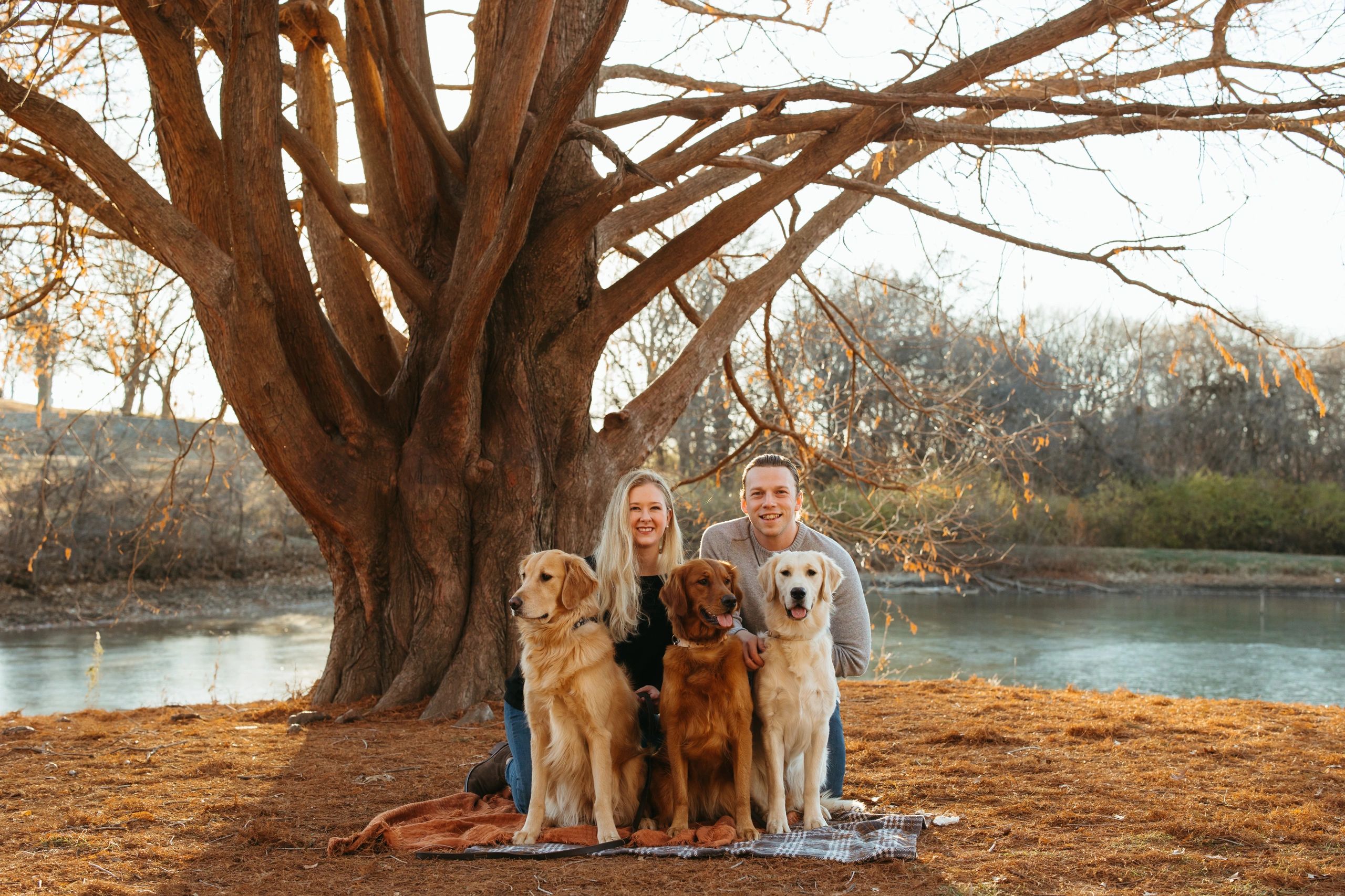 Upcoming Litters of Golden Retriever Puppies | Rosemary Goldens