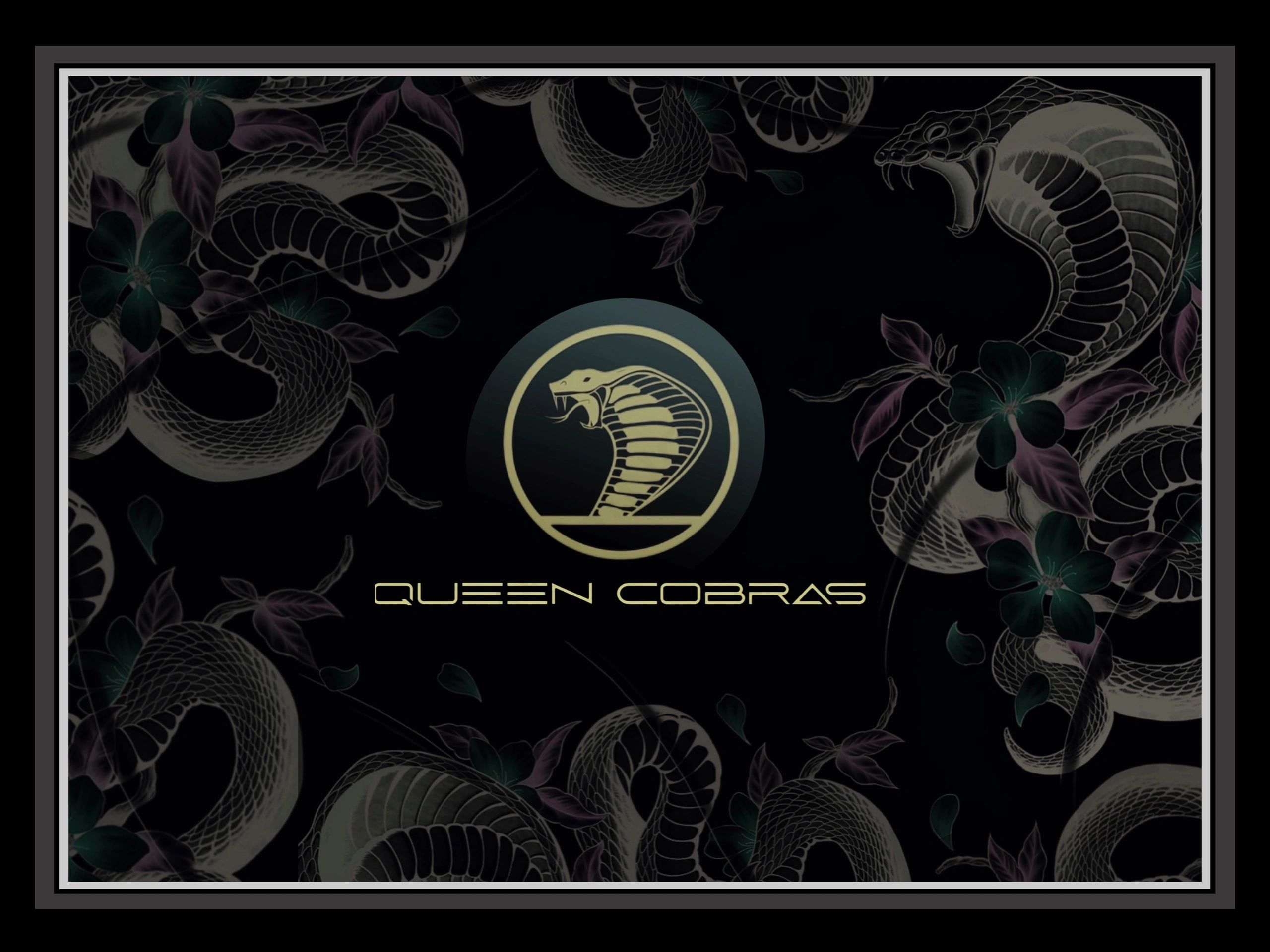 Youth Football Program | Queen Cobras