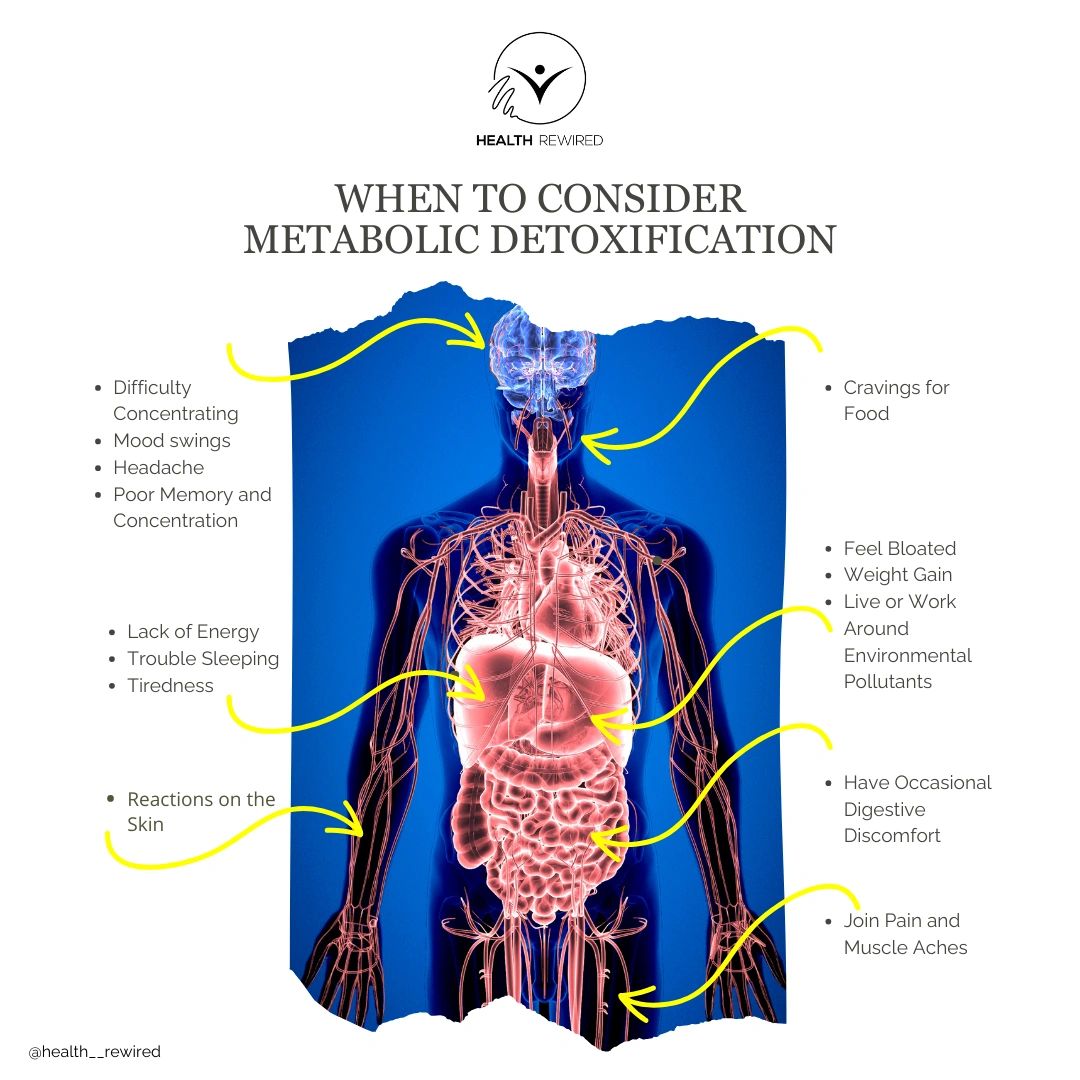Detox Decoded: The What, When, and How of a Physical Detox