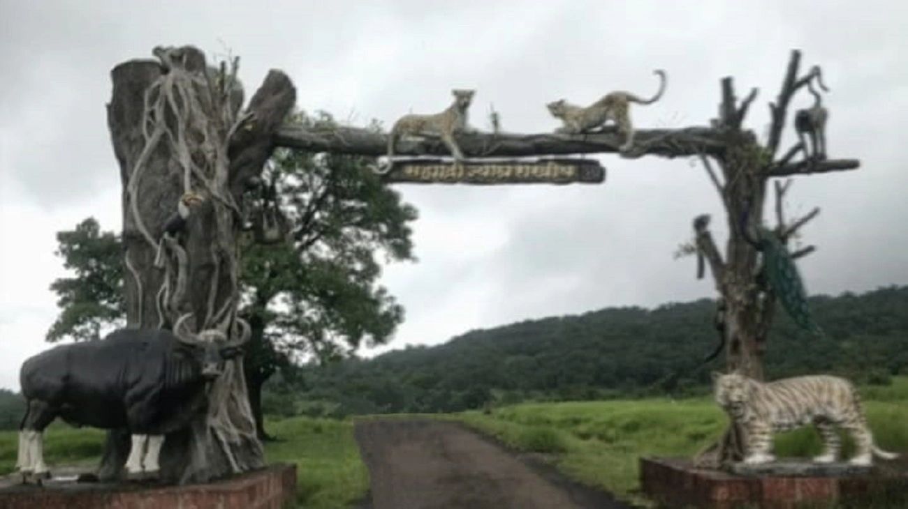 Chandoli National Park