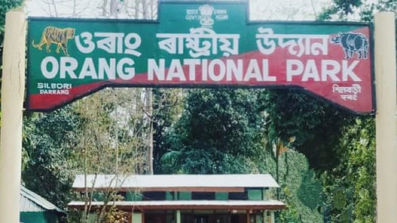 Orang National Park