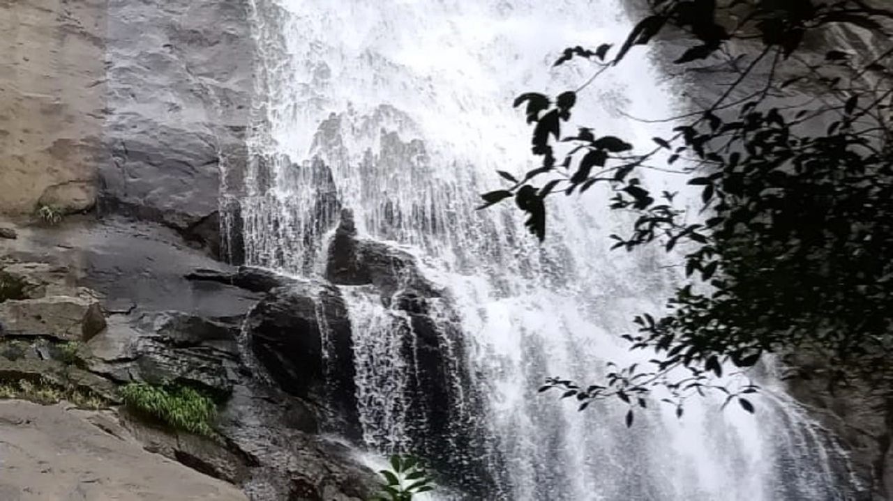 Thusharagiri Waterfalls