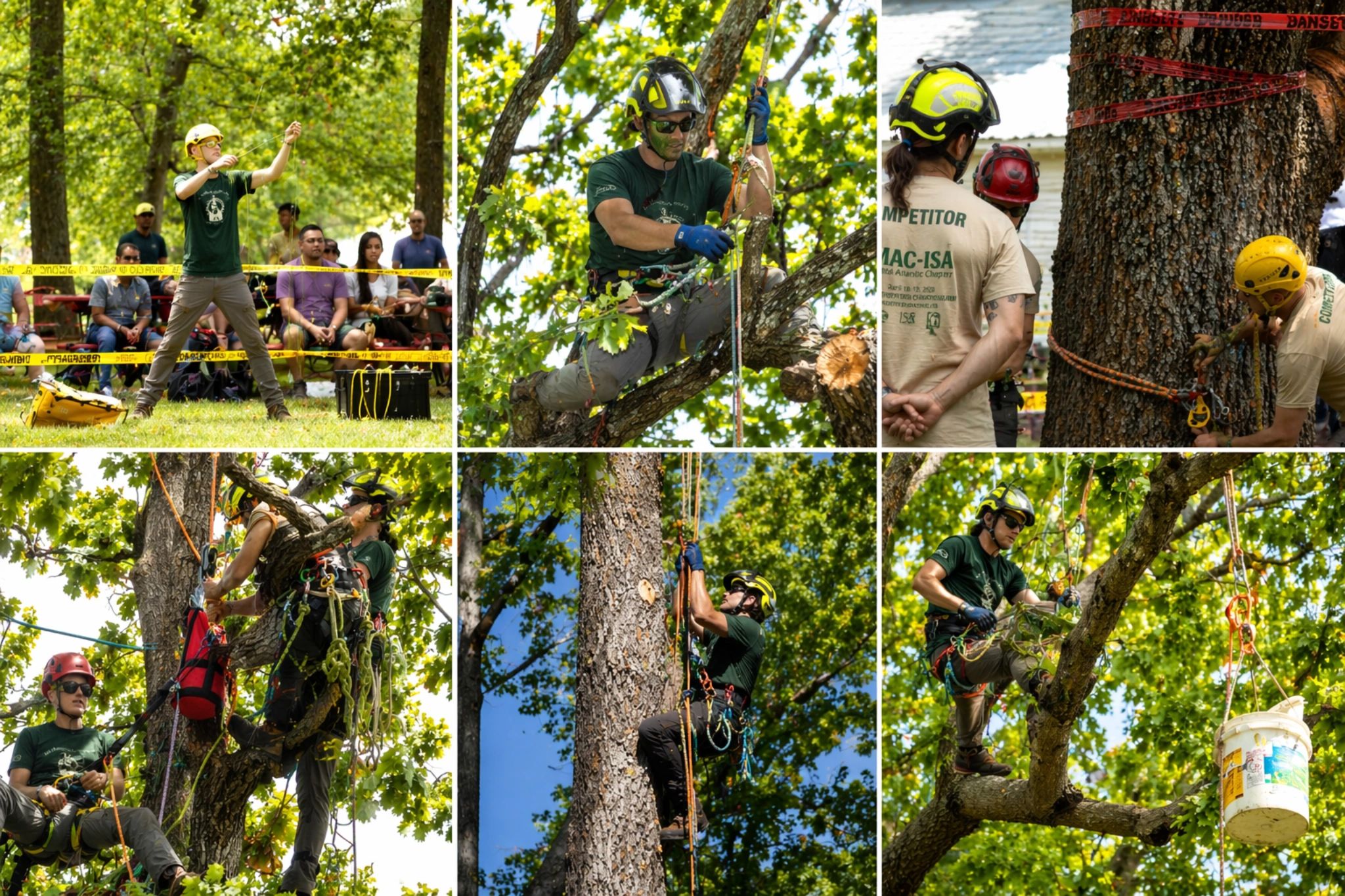 2026 Mid-Atlantic ISA Tree Climbing Championship: Day 1 at Montpelier ...