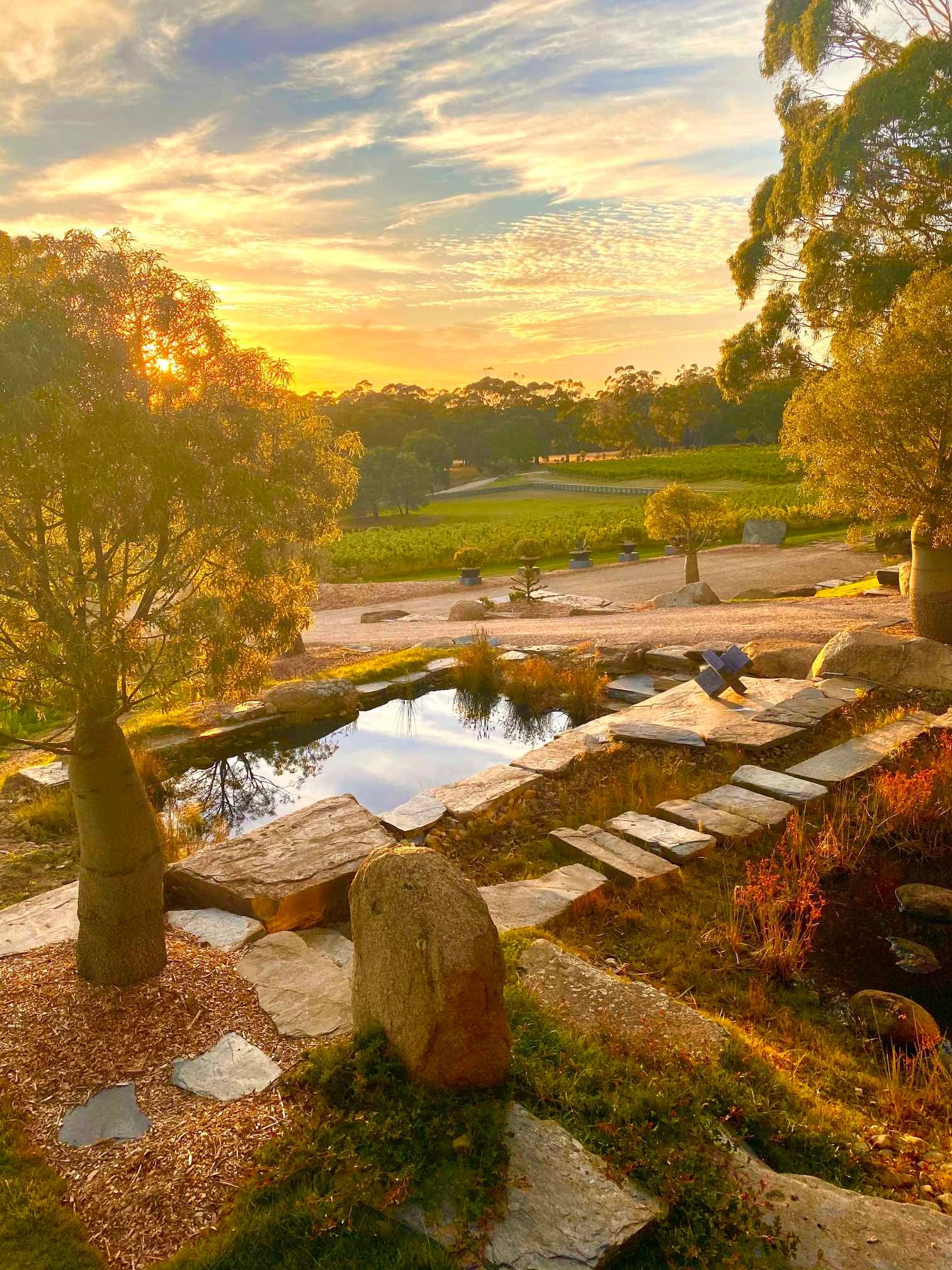 Journey Through the Ranges - Winery Tours through the Macedon Ranges