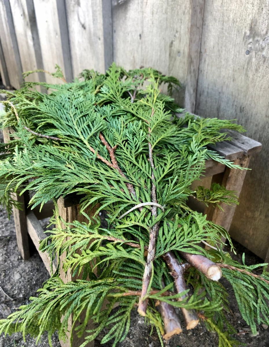 Red Cedar Greenery Bunch