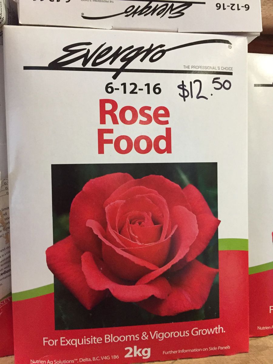 Evergro Rose Food | 6-12-16 | 2kg