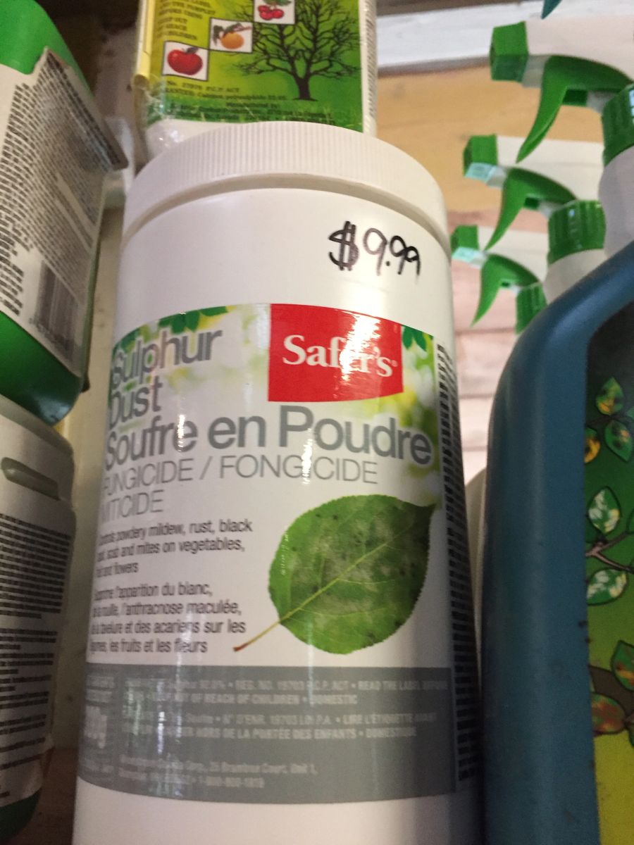 SAFER's Sulphur Dust - Fungicide | 300 g