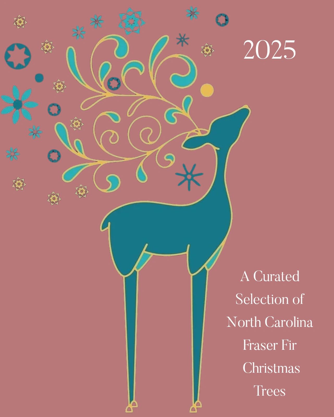 Pope Tree Lot - Christmas Tree - Houston, Texas