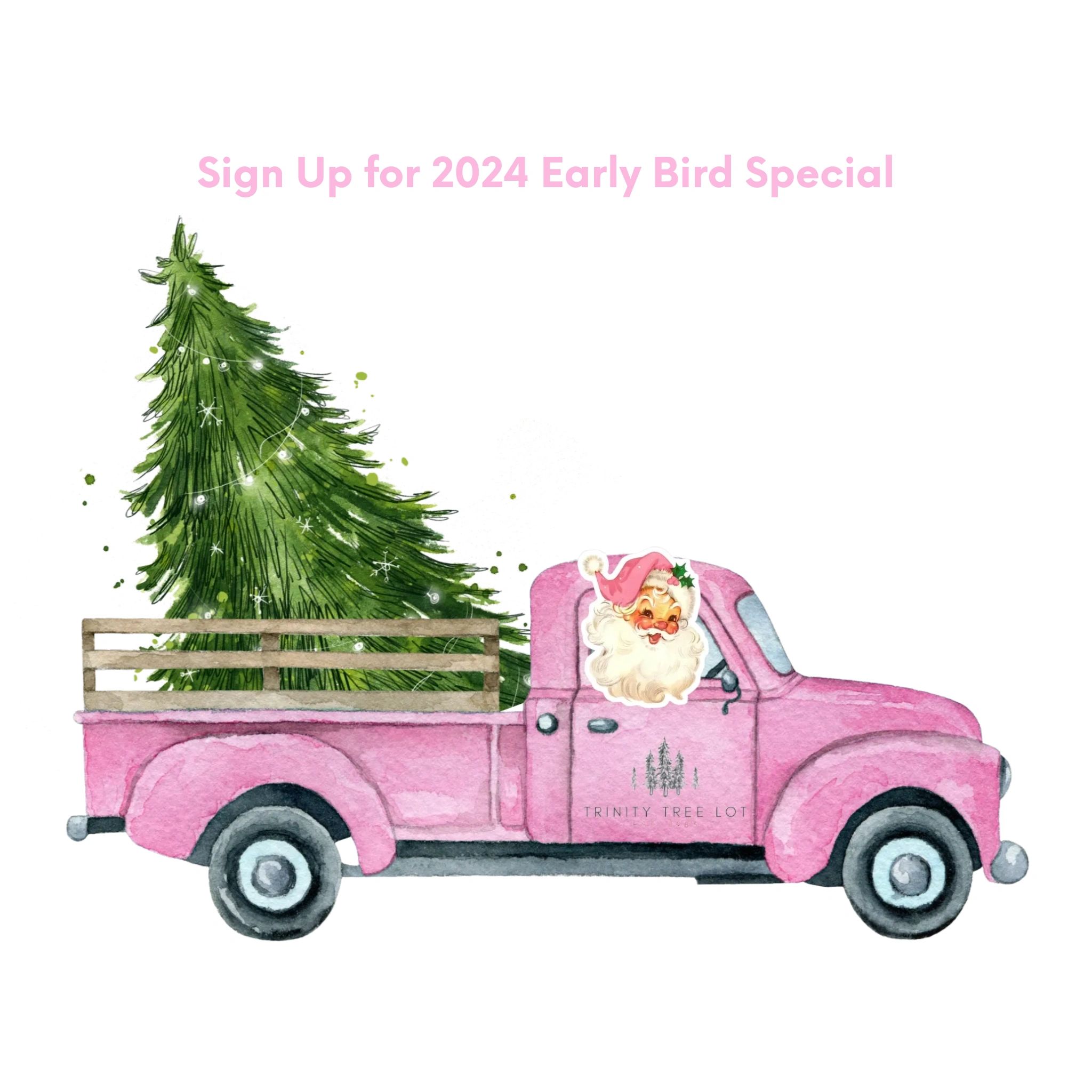 Pope Tree Lot - Christmas Tree - Houston, Texas