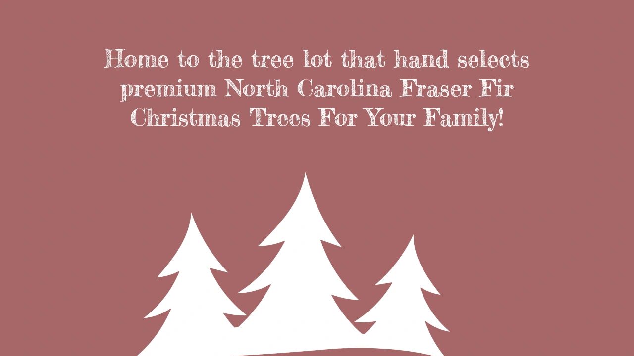 Pope Tree Lot - Christmas Tree - Houston, Texas