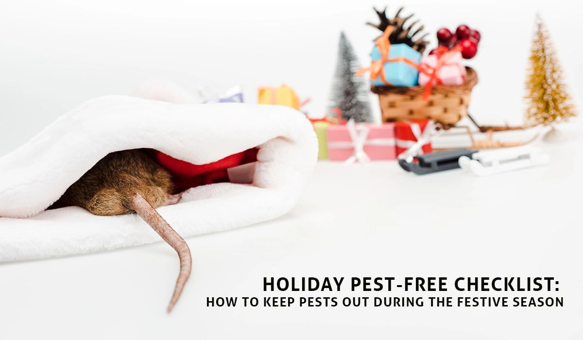 Holiday Pest-Free Checklist: How to Keep Pests Out This Season