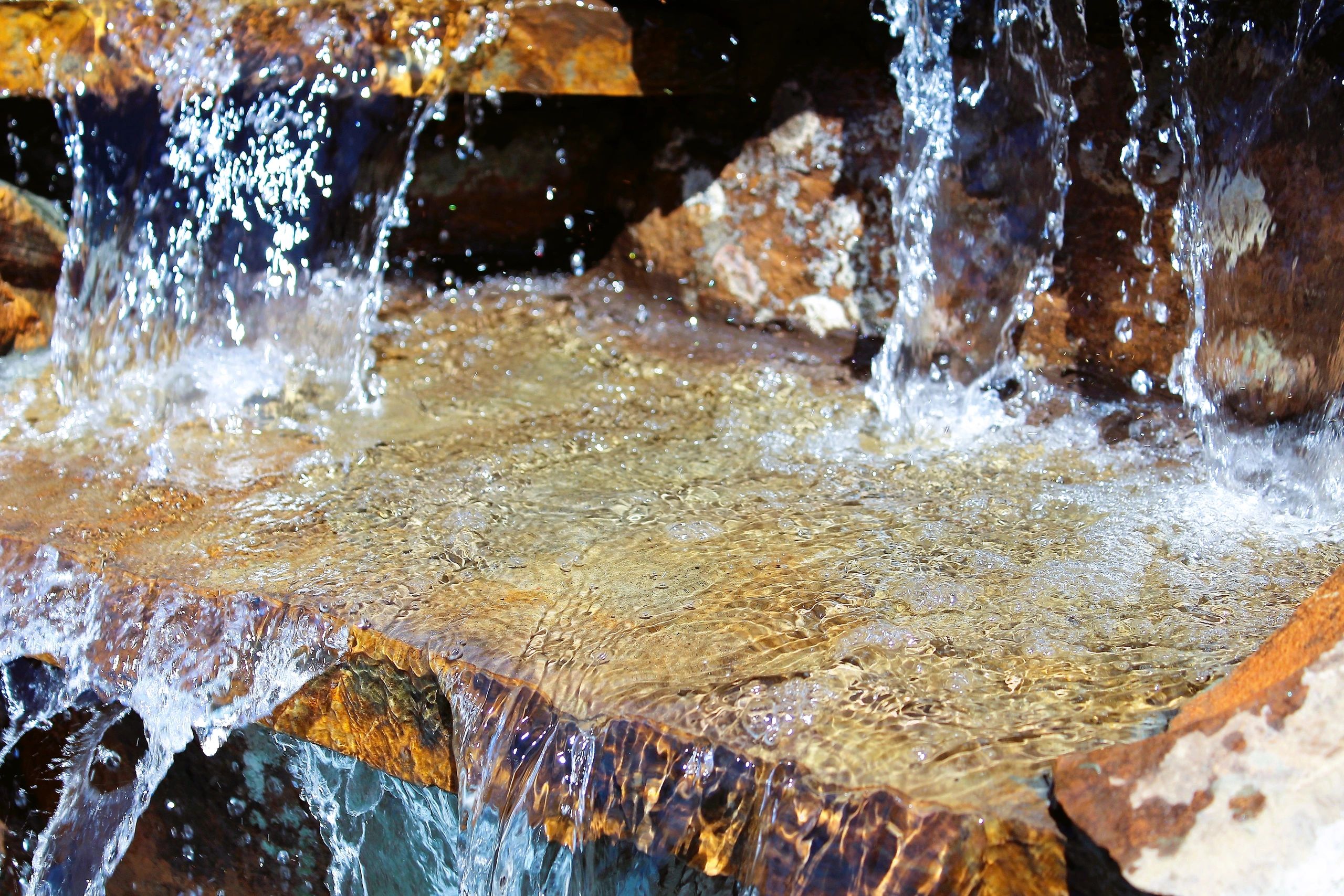 About | Pool Builders | Taylor Water Scape