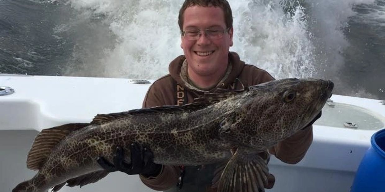 Lingcod and Rockfish
