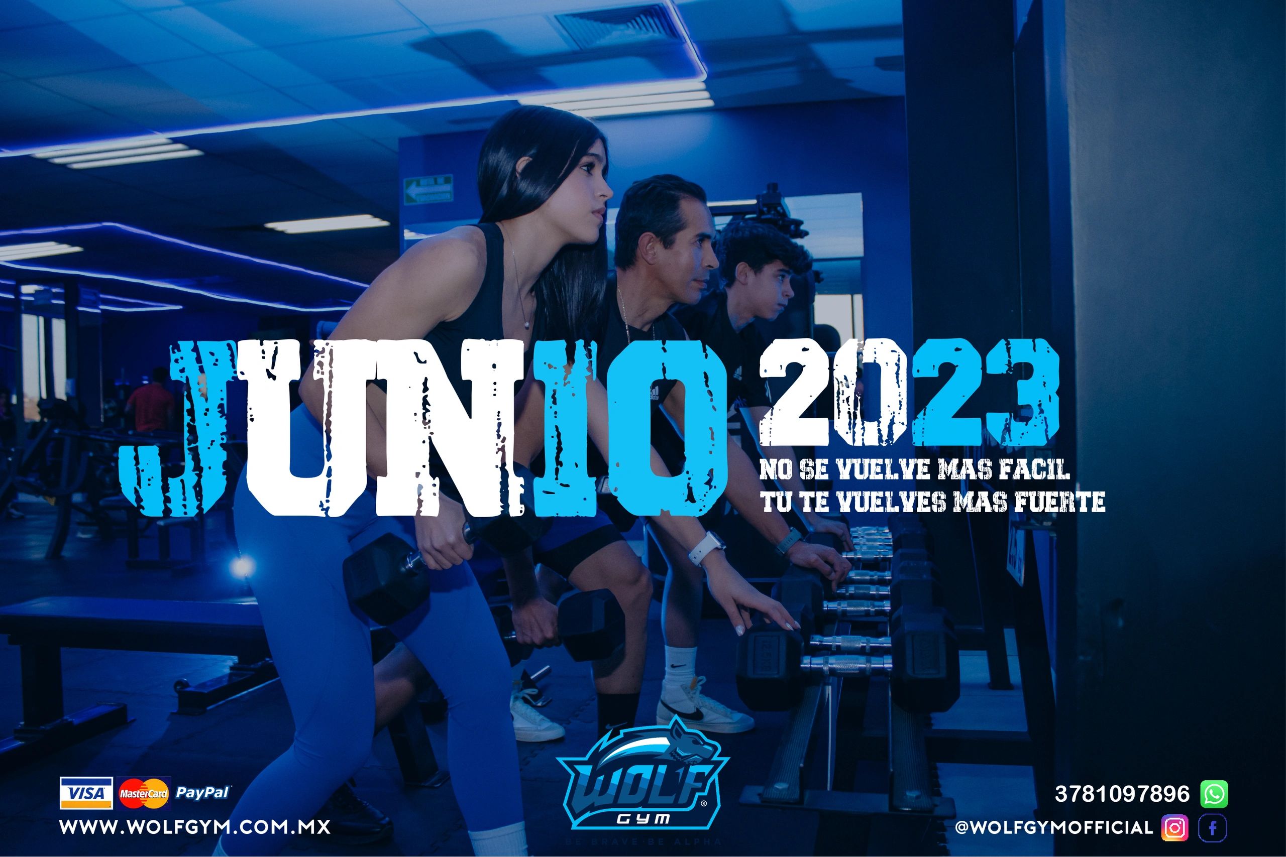 Gimnasio - WOLF GYM ¡BE BRAVE BE ALPHA!