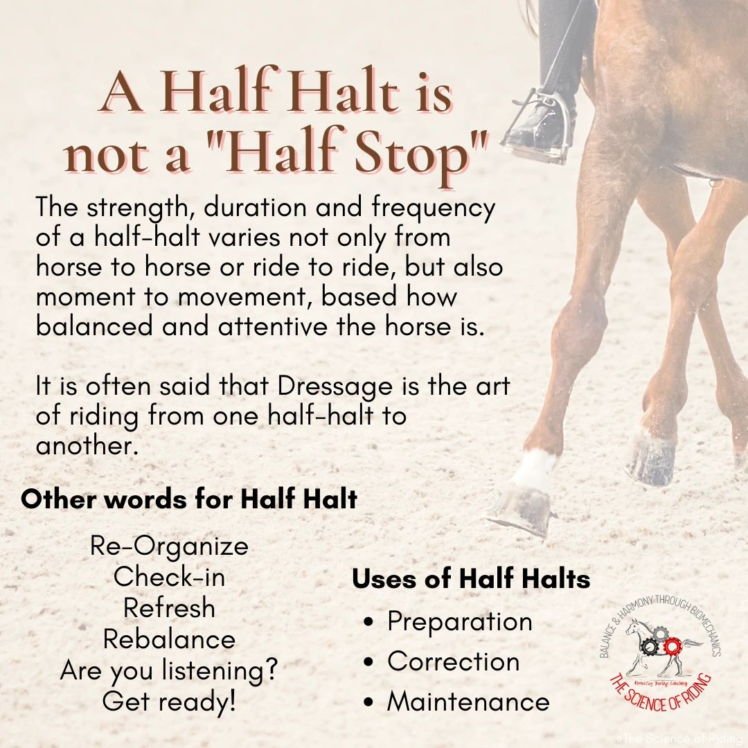 The Half Halt (AKA the "Check In")