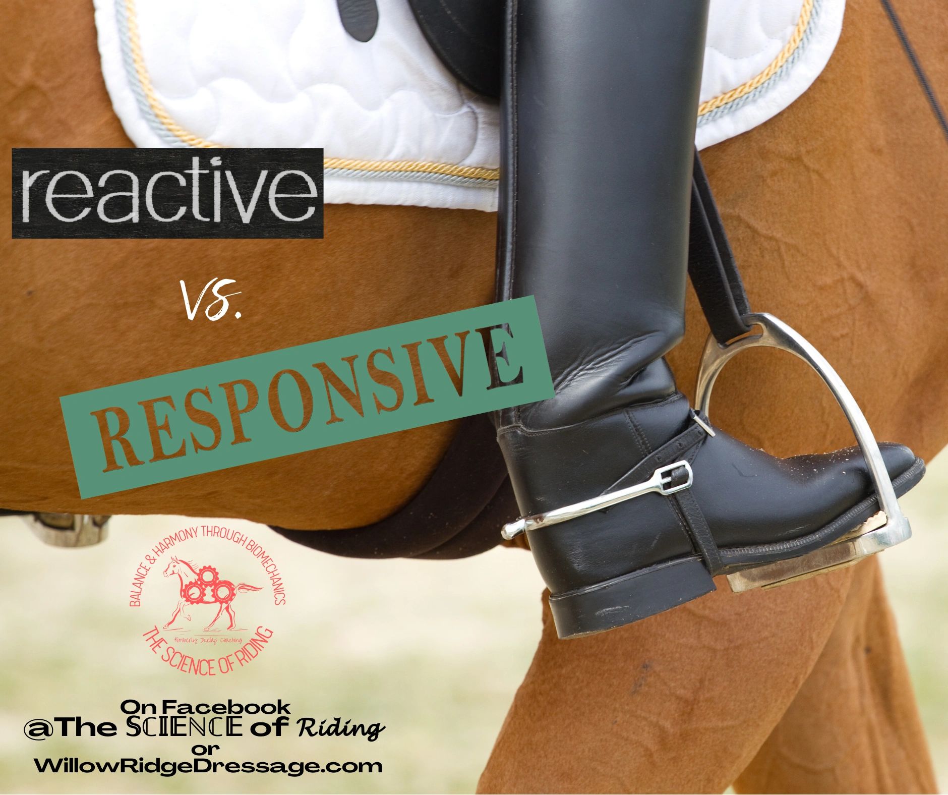 Responsiveness VS. Reactivity
