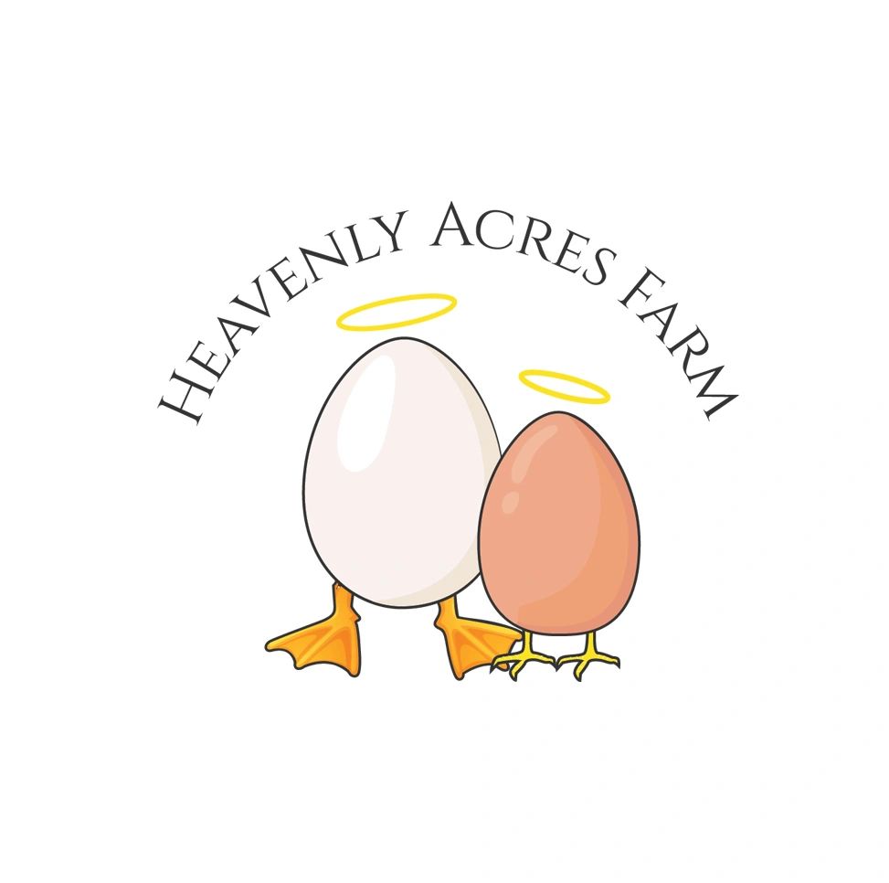 HeavenlyAcresFarmNC - Coop Ready Chicks, Baby Chicks, Poultry Farm