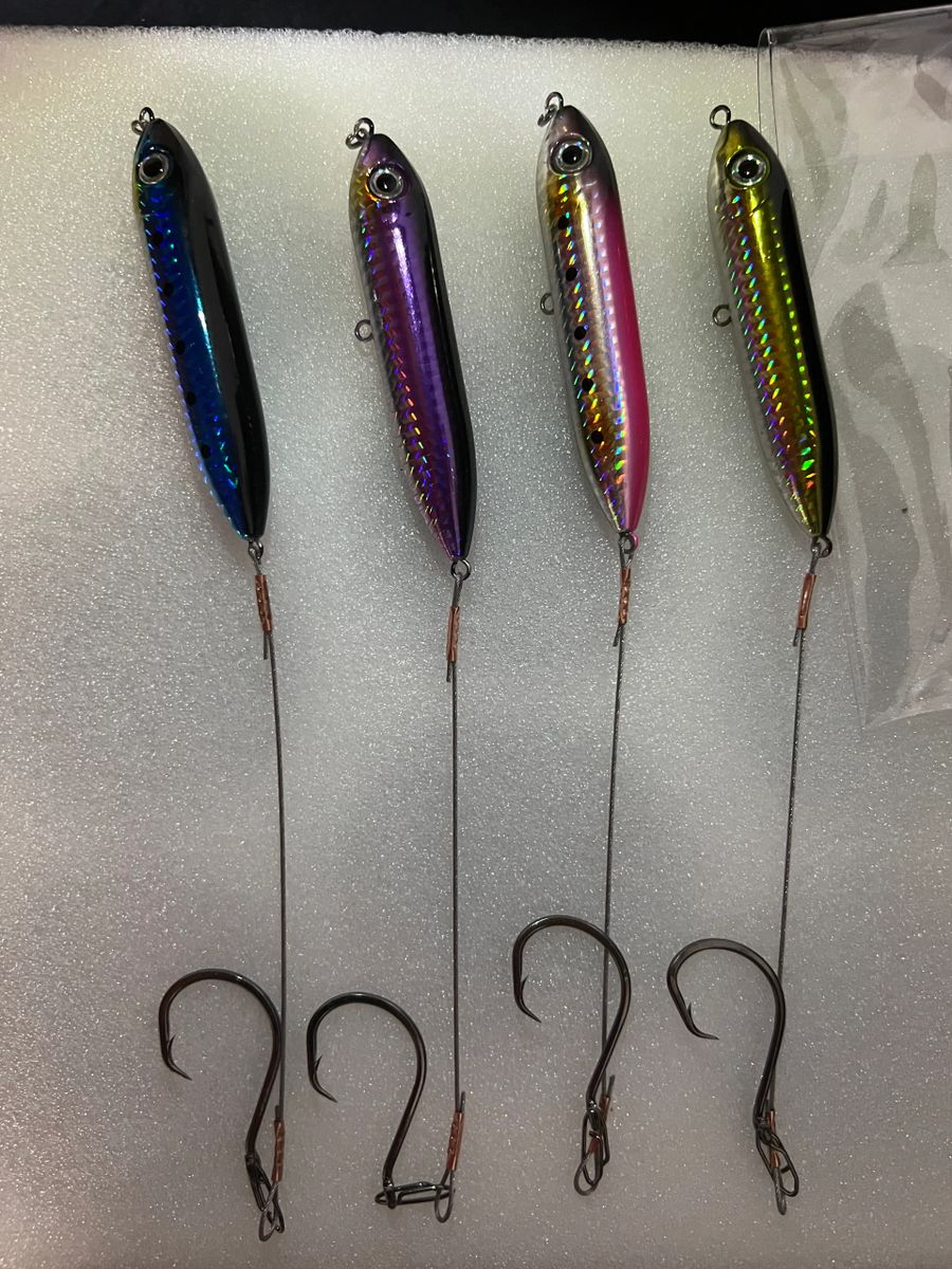 CATFISH SHINER RIG 8/0 SANTEE COOPER STYLE