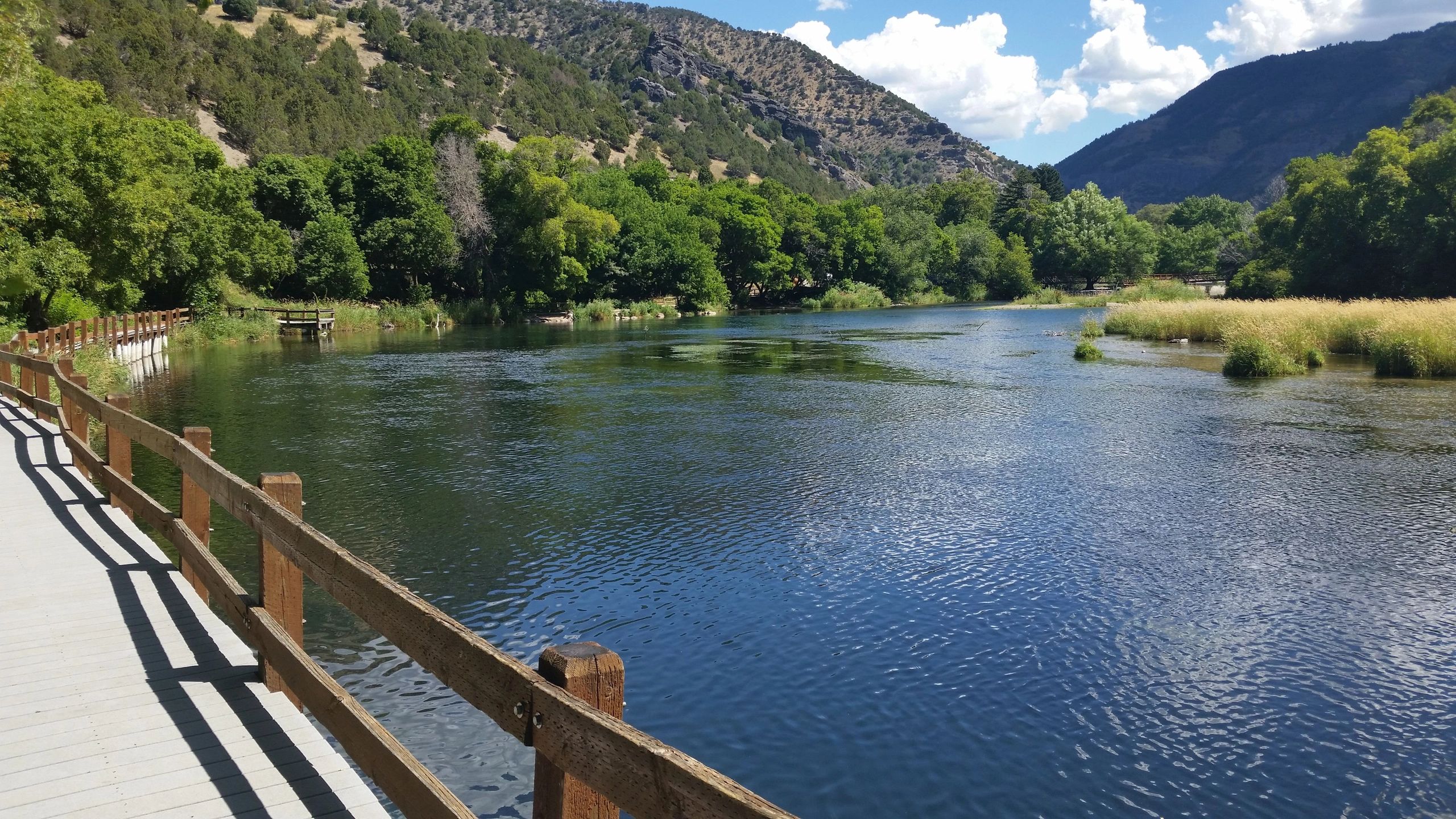 New Wave Marketing - Marketing, Advertising