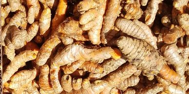 Products | Seasons Farm Fresh