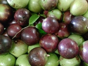 Products | Seasons Farm Fresh