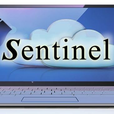 Debt Collection Software - eCollections