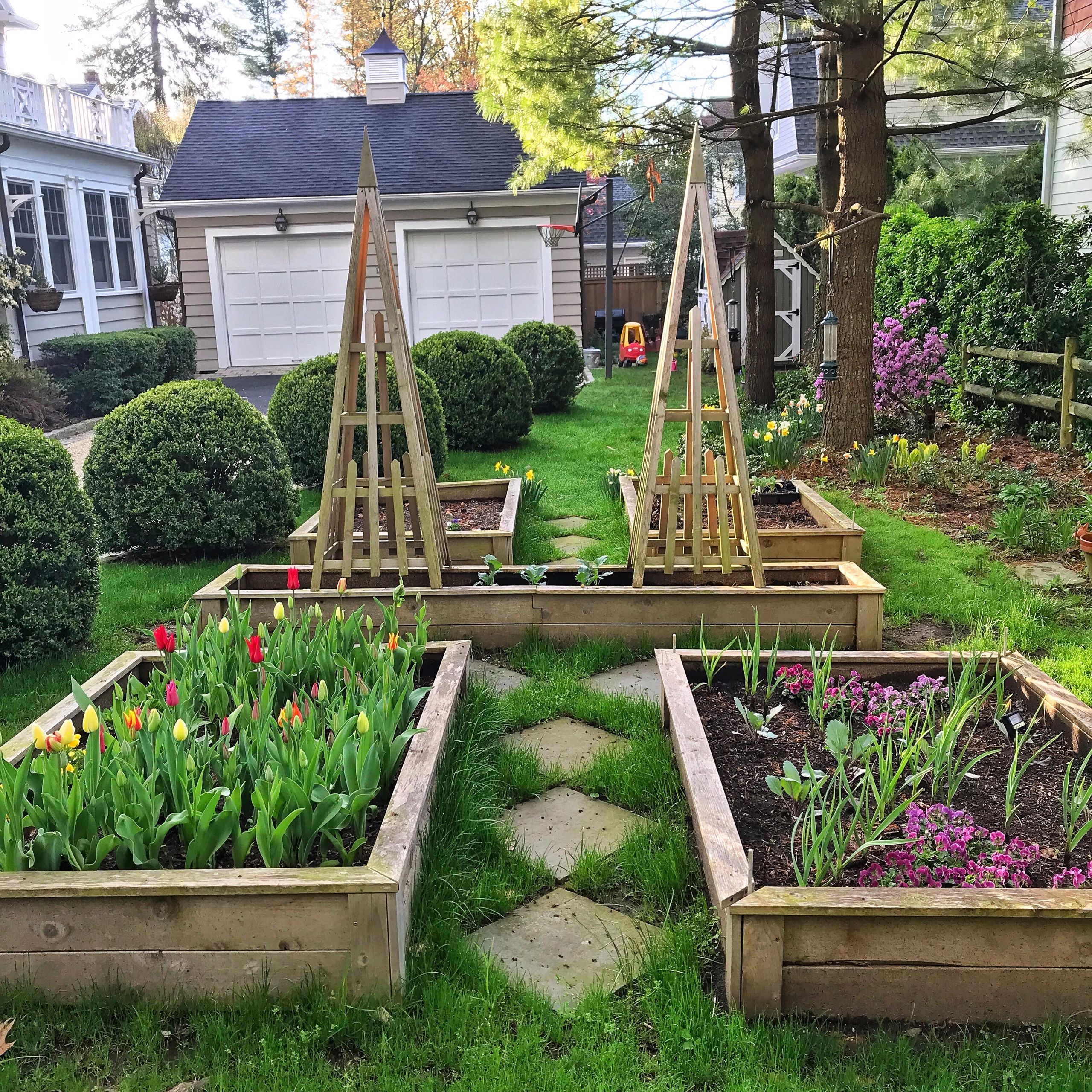 Lucy's Garden Life - Garden Design, Edible Gardens