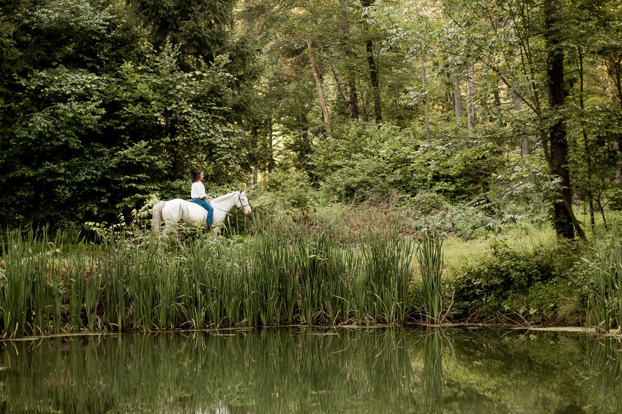 Behler Equestrian, LLC - Horseback Riding Lessons, Horse Boarding