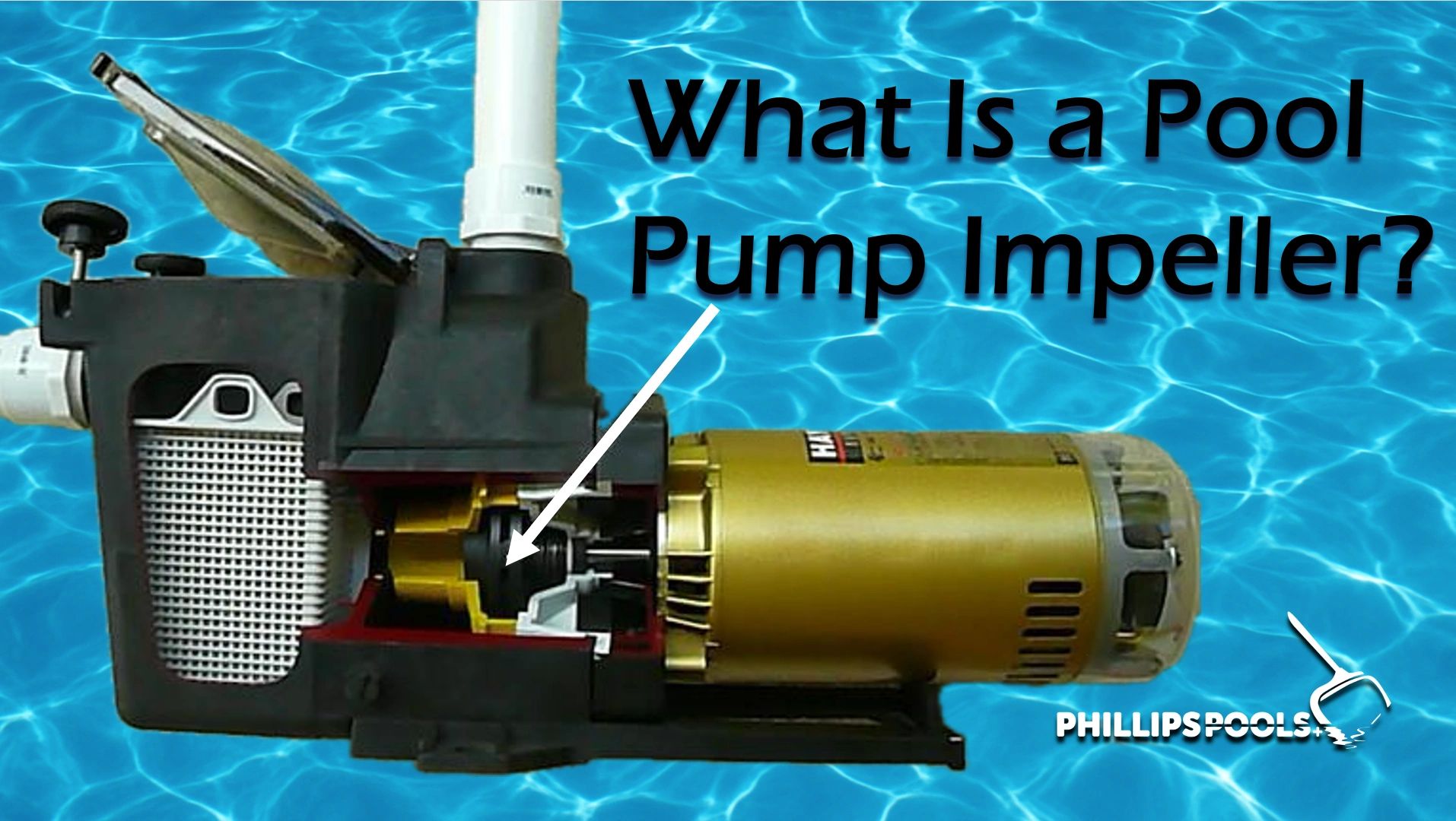 What Is a Pool Pump Impeller?