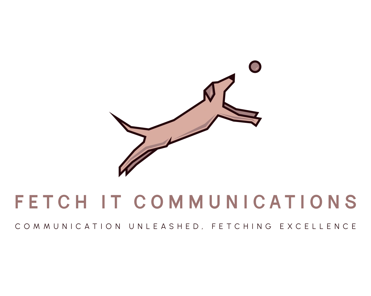 Fetch It Communications
