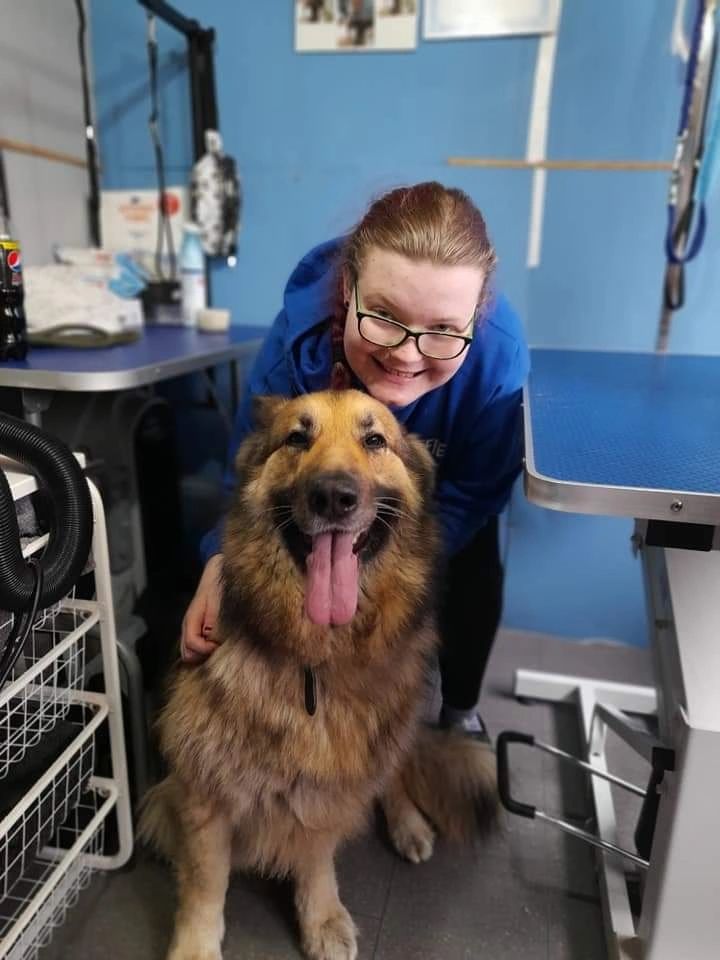 Dog Grooming - SCRUFFIES 2 FLUFFIES DOG GROOMING