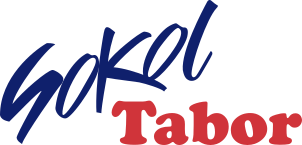 XXV American Sokol Slet