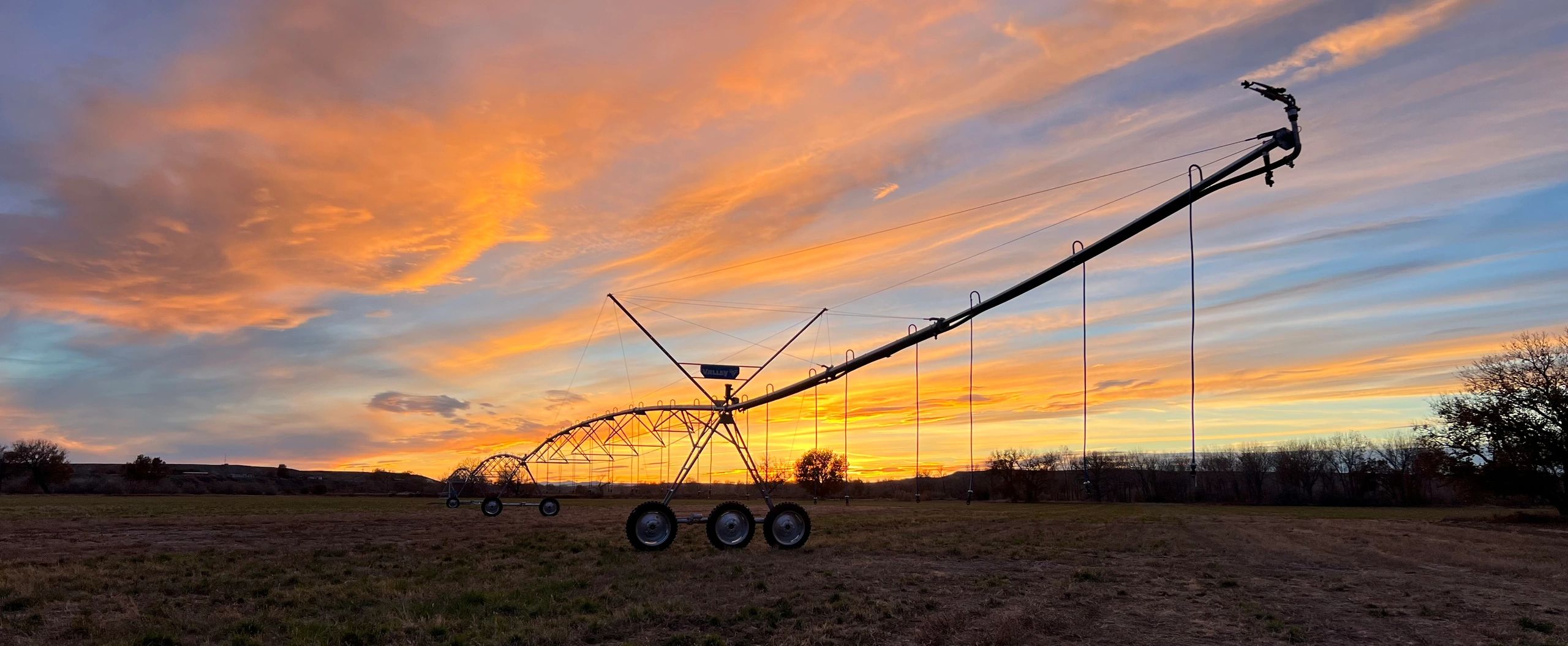 Expert Irrigation Installation Services | ProBuild