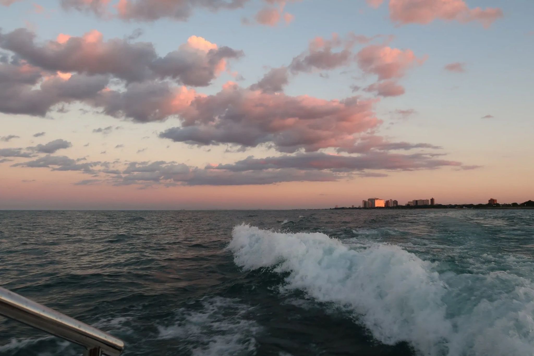 Wandering Through Life