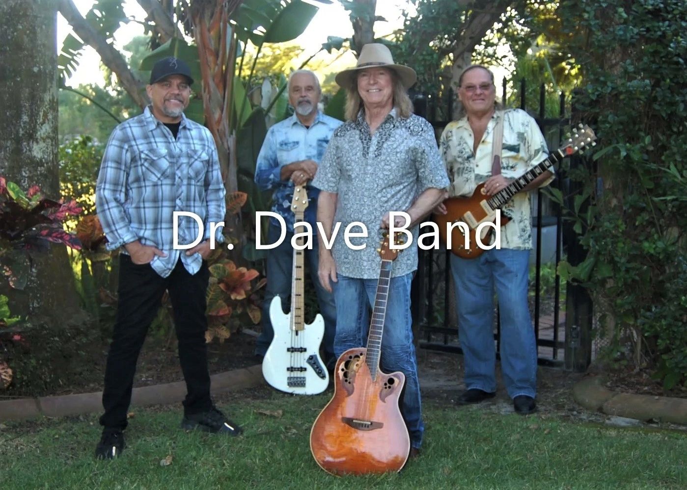 Dr. Dave Band