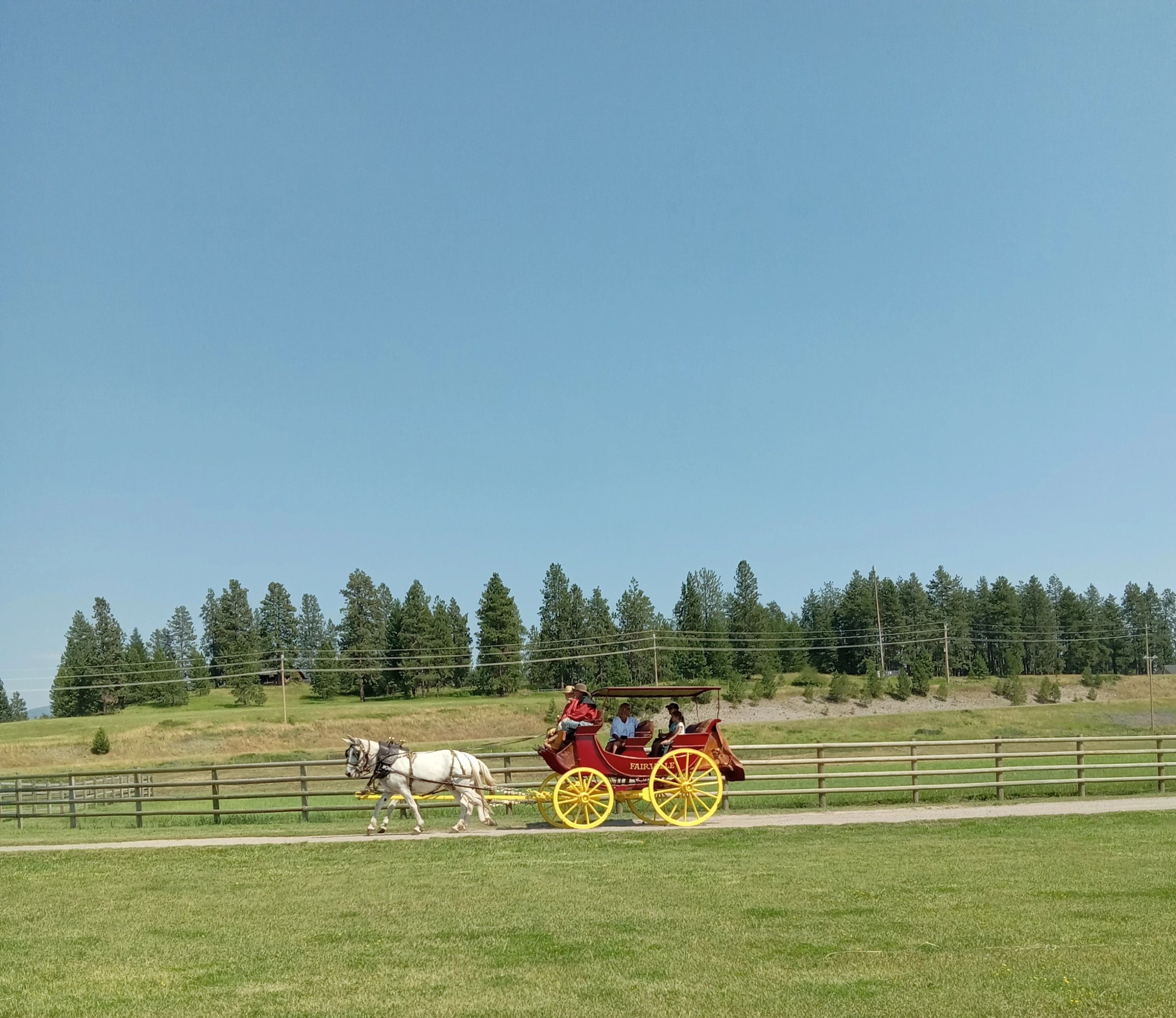 Experience Our Authentic Stagecoach Ride Today